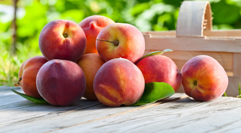 Sicilia: Sagra delle pesche dal 5 all’8 agosto a Chiusa Sclafani ...