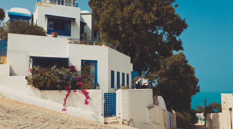 Alla scoperta di Cartagine - SNAV Magazine